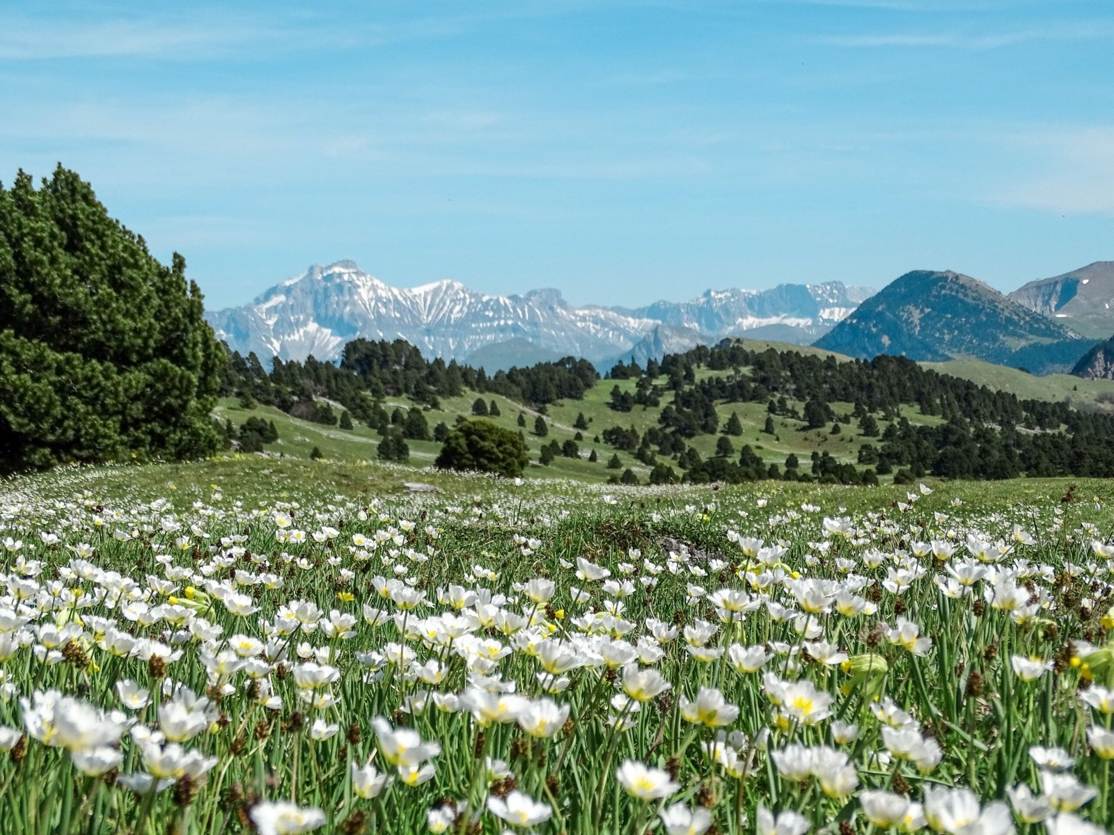 Randonnée dans la Drôme – Le Vallon de Combeau