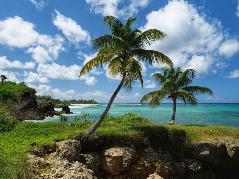 Guadeloupe | Que voir et que faire en Grande-Terre ? Les incontournables