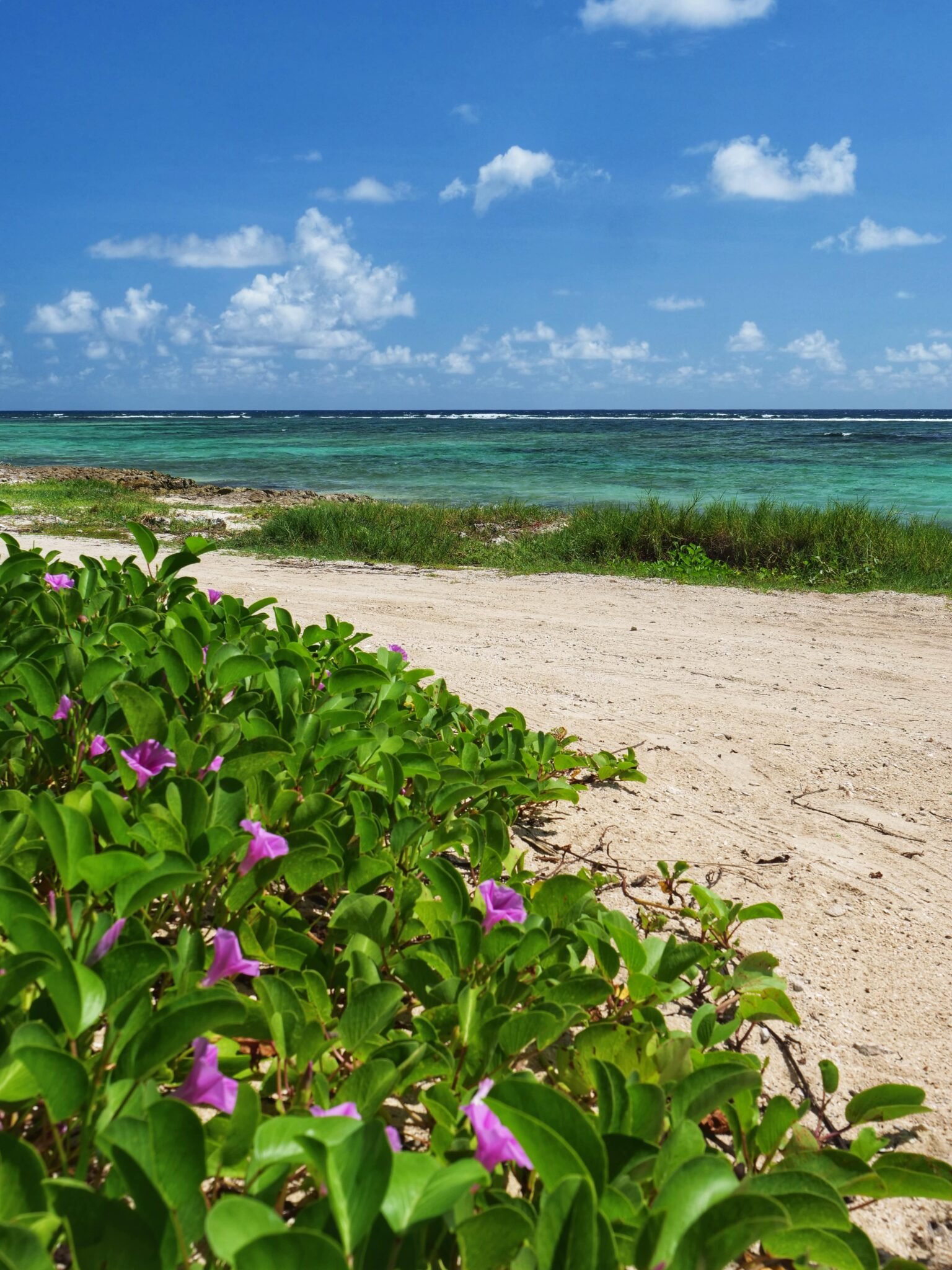 Guadeloupe | Que voir et que faire en Grande-Terre ? Les incontournables